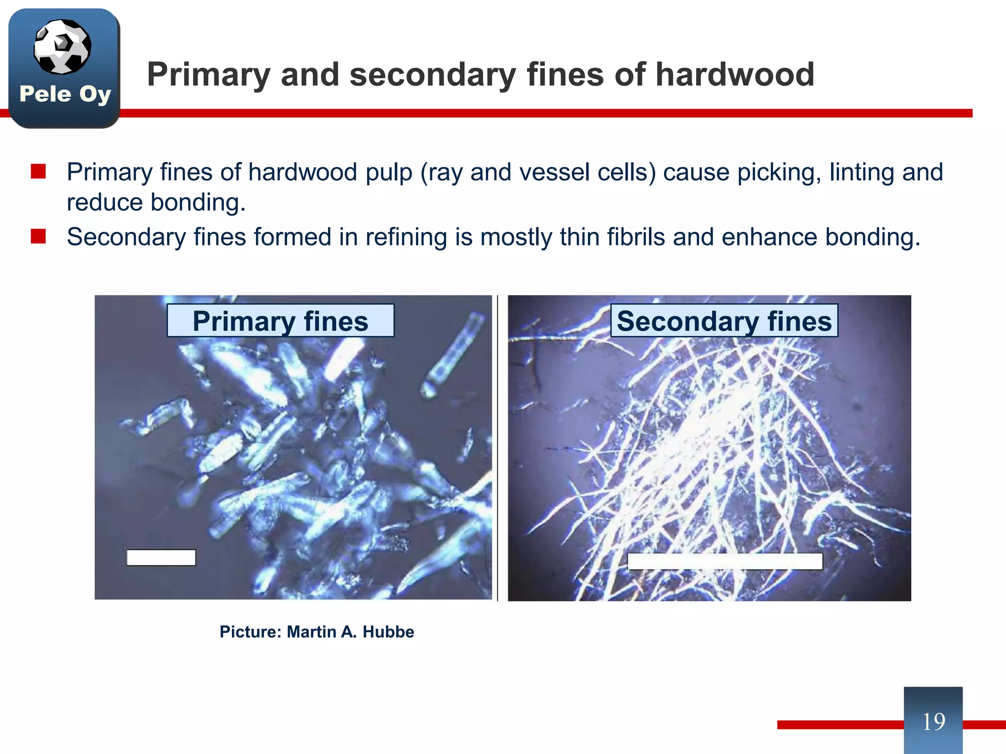 Fiber and Pulp Characteristics for Papermaking | PDF