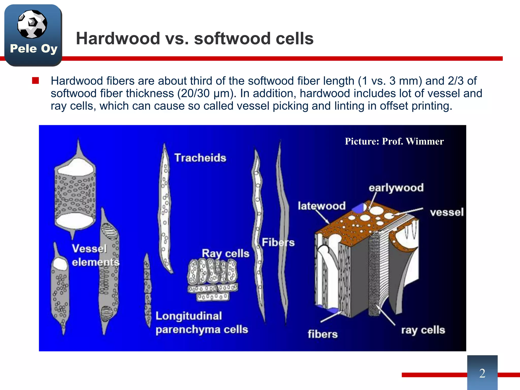 Fiber and Pulp Characteristics for Papermaking | PDF