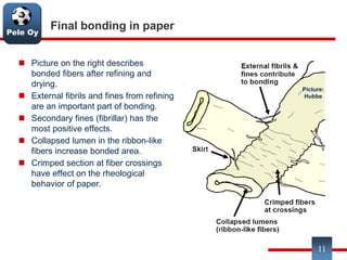 Fiber and Pulp Characteristics for Papermaking | PDF