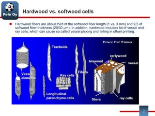 Fiber and Pulp Characteristics for Papermaking | PDF