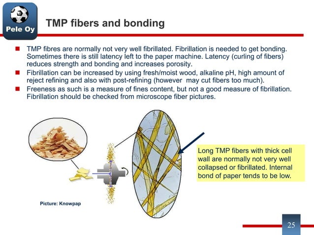 Fiber and Pulp Characteristics for Papermaking | PDF