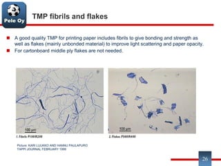 Fiber and Pulp Characteristics for Papermaking | PDF
