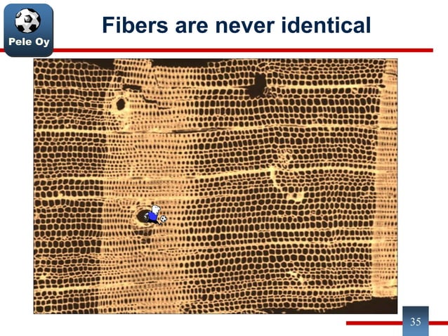 Fiber and Pulp Characteristics for Papermaking | PDF