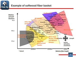 Fiber and Pulp Characteristics for Papermaking | PDF