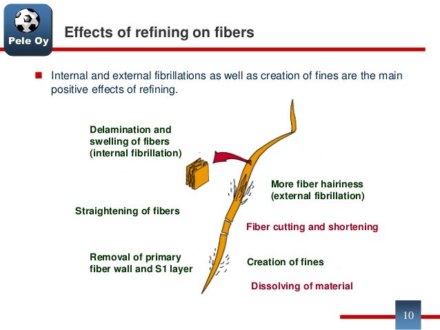 Fiber and Pulp Characteristics for Papermaking