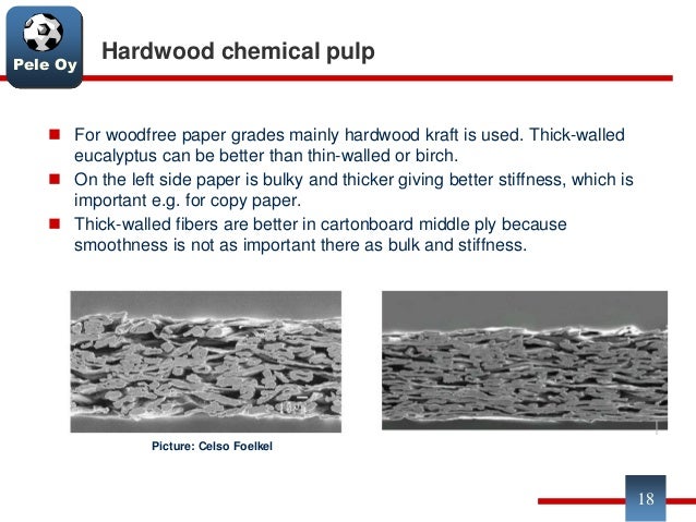 Fiber and Pulp Characteristics for Papermaking