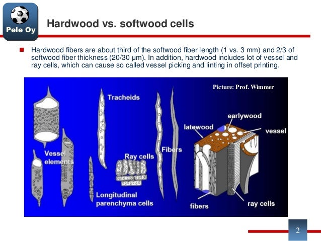 Fiber and Pulp Characteristics for Papermaking