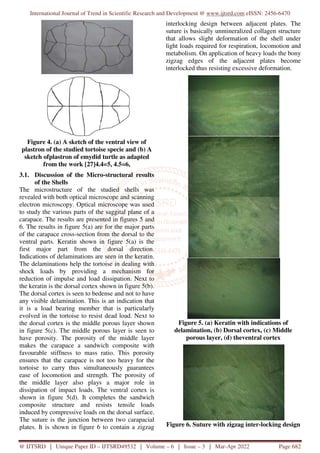 Mechanical and Structural Properties of Eastern Nigeria Tortoise Shell ...
