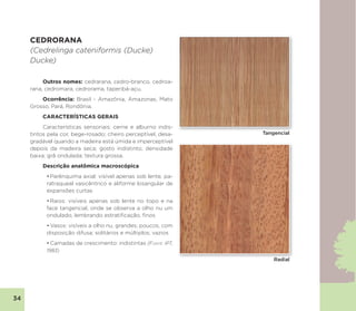 980 catalogo de-madeiras_brasileiras_para_a_construcao_civil | PDF