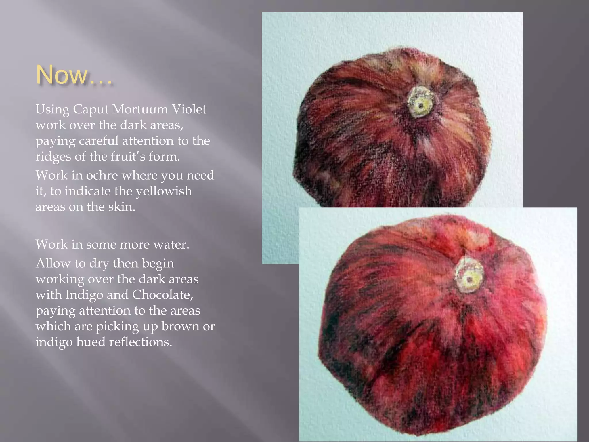 Pomegranate Study | PPTX