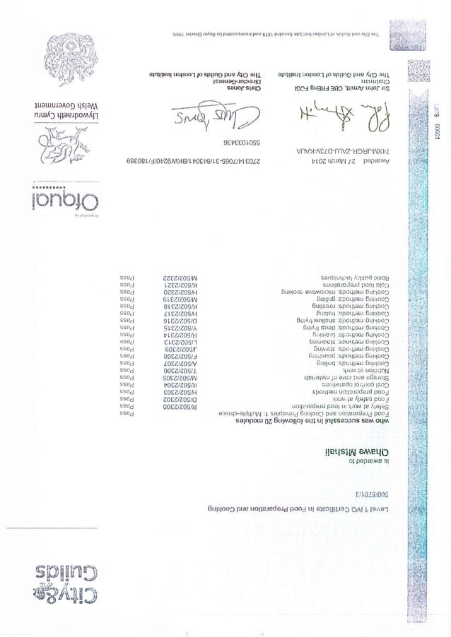 IHS Qualification | PDF