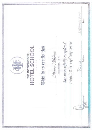 IHS Qualification | PDF