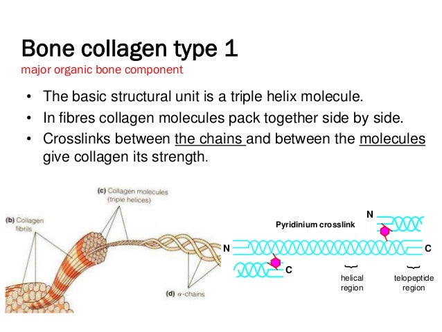 Bonepresentationgeneral.compressed
