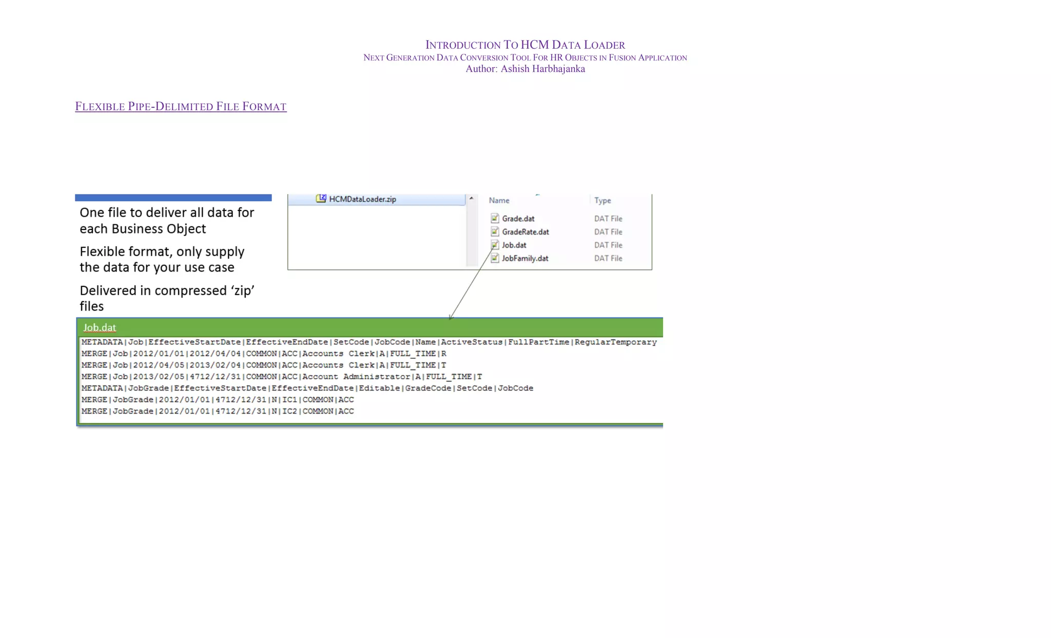 A Brief Overview of HCM Data Loader Next Generation Tool For HCM Data ...