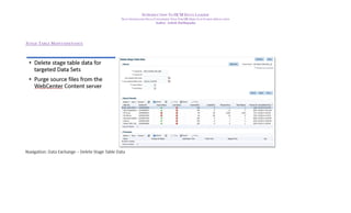 A Brief Overview of HCM Data Loader Next Generation Tool For HCM Data ...