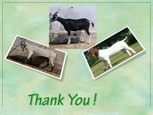 Meat quality and fatty acid profile of Brazilian goats subjected to ...