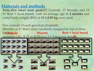 Meat quality and fatty acid profile of Brazilian goats subjected to ...