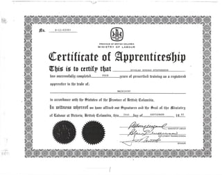 Trade Qualification Certificates | PDF