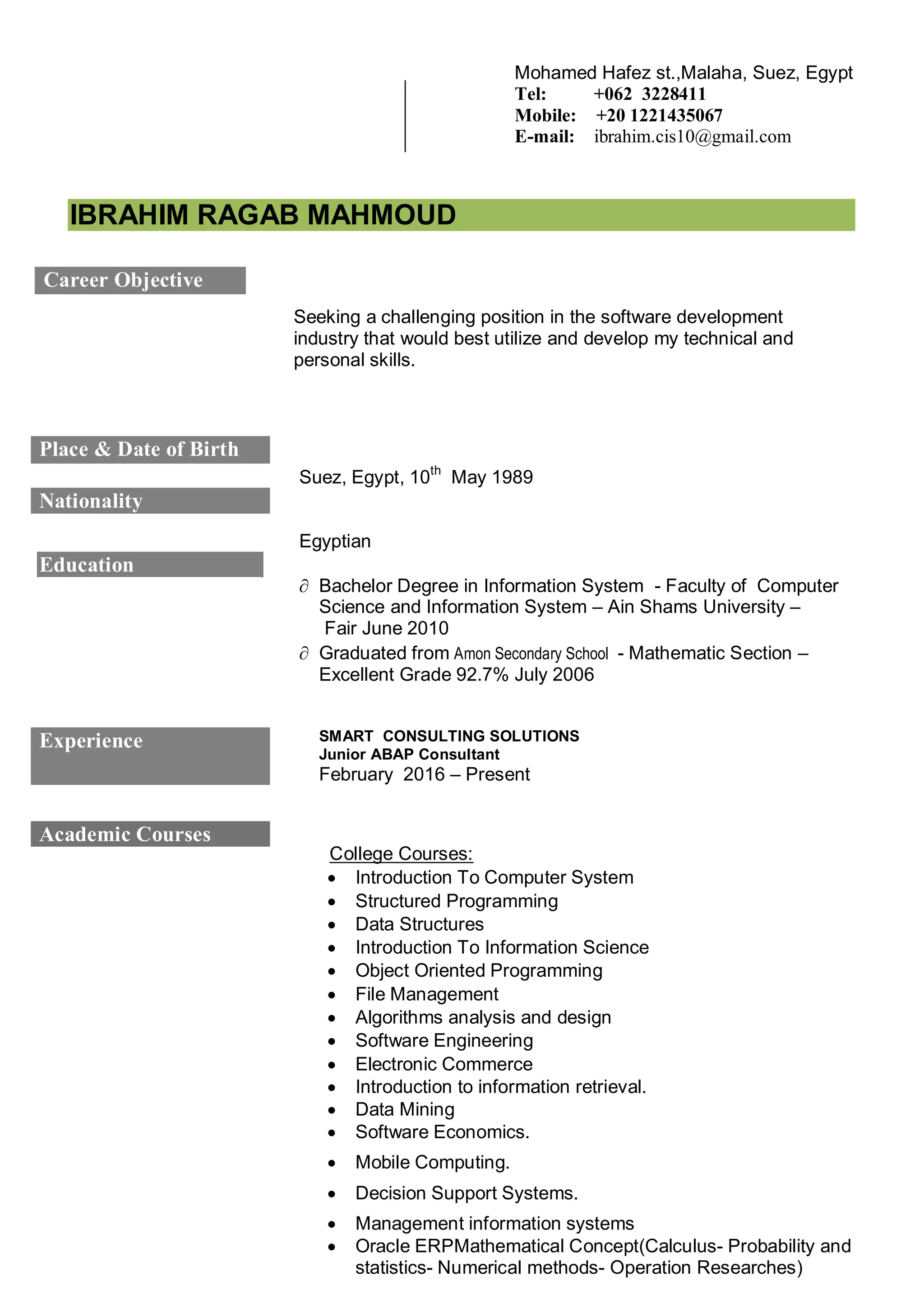Ibrahim Ragab | PDF