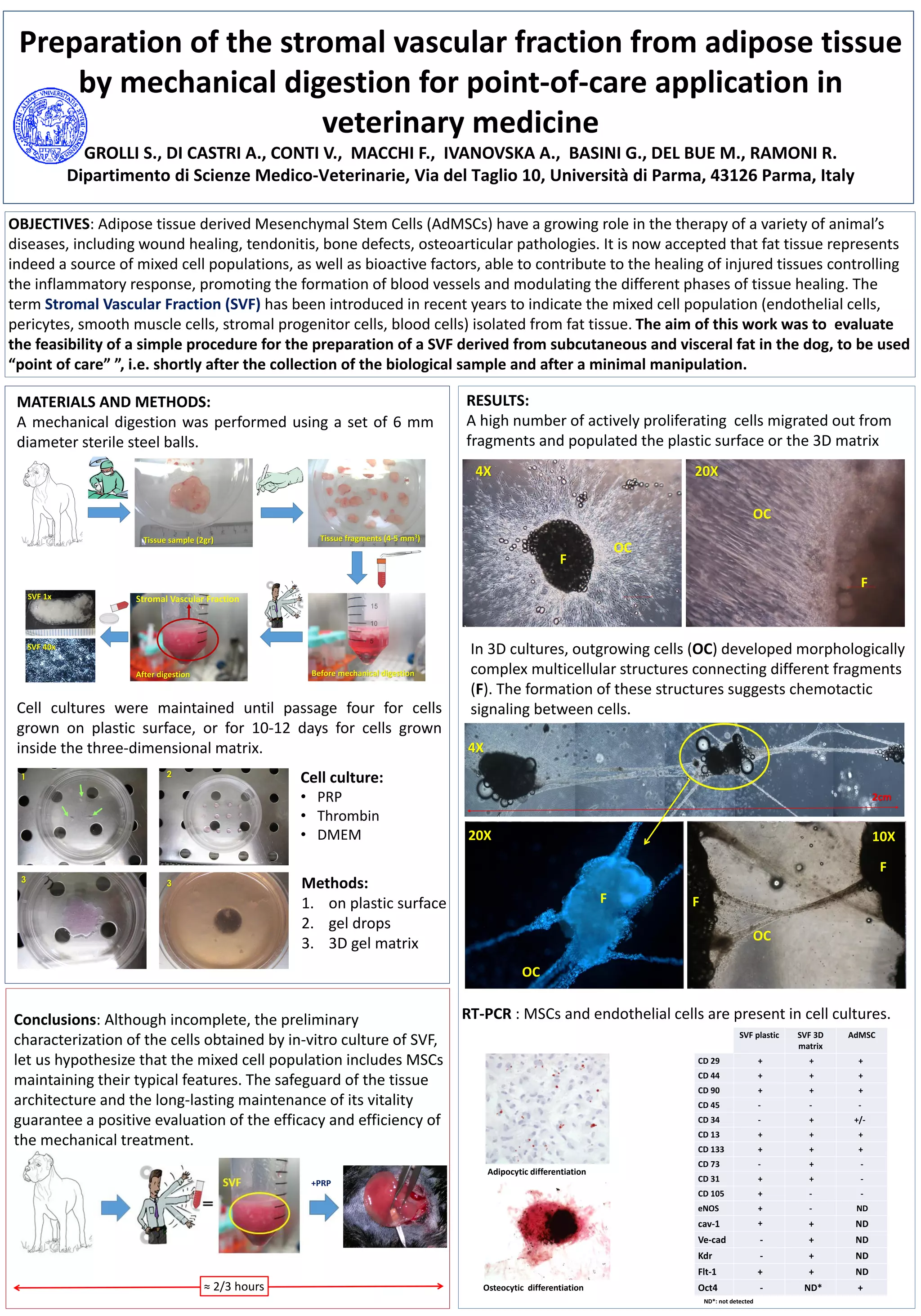Poster SVF | PDF