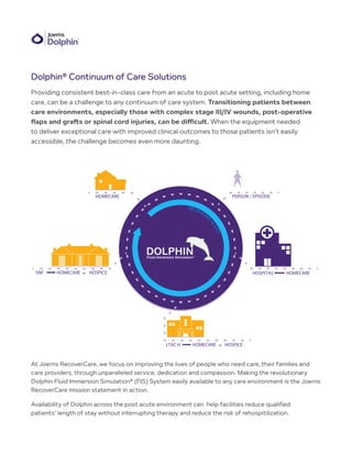 Dolphin Continuum of Care Info Brochure | PDF | First Aid | Injuries