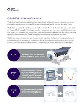 Dolphin Continuum of Care Info Brochure | PDF | First Aid | Injuries