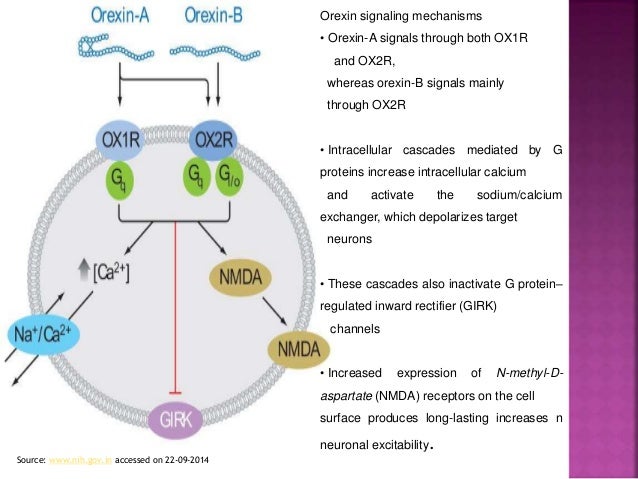 Orexin receptors and their potential as drug targets