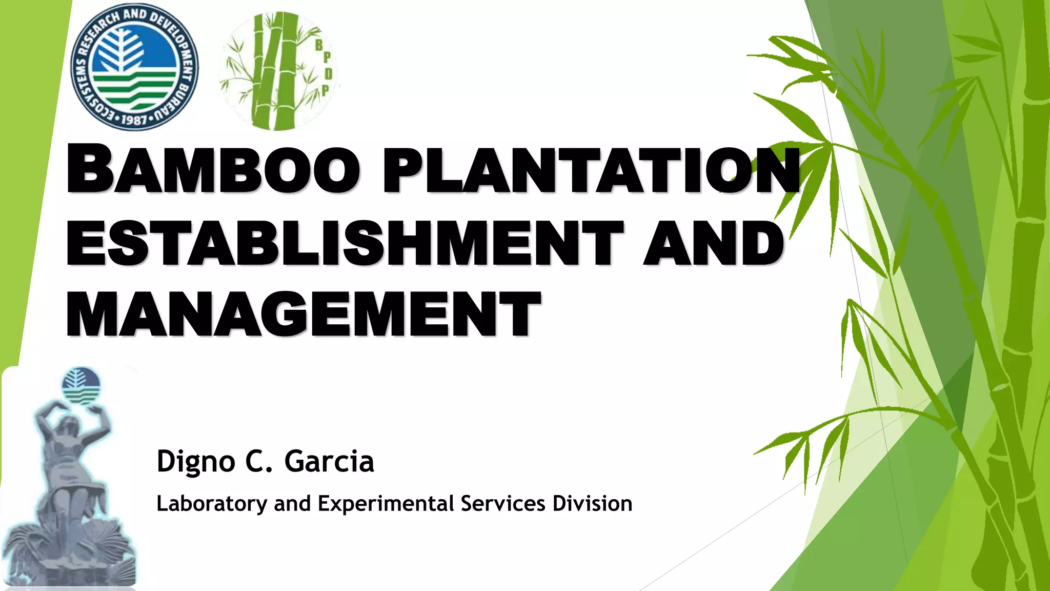 Bamboo plantation establishment and management | PPTX