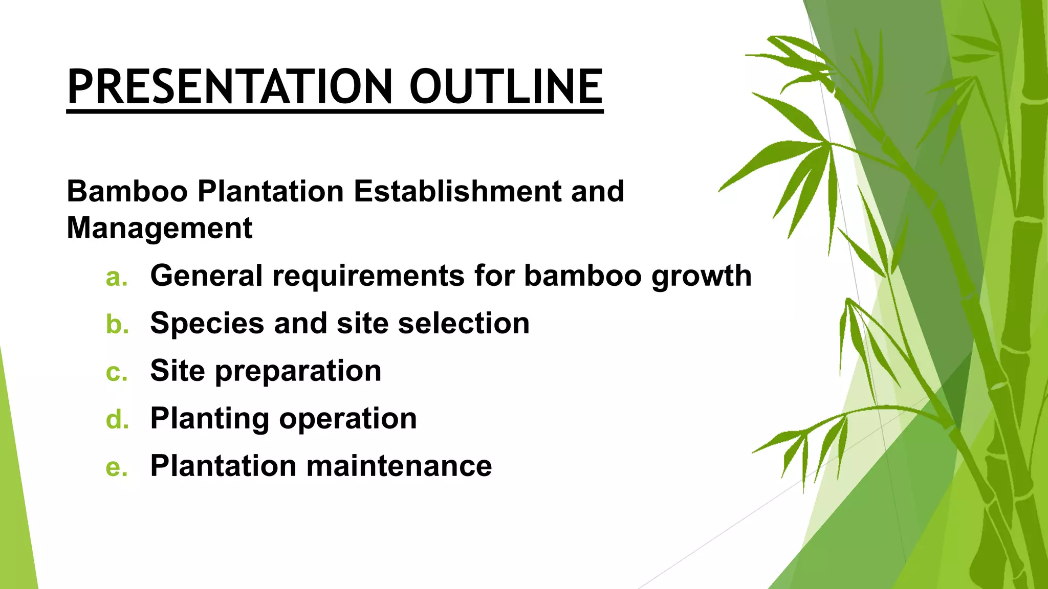 Bamboo plantation establishment and management | PPTX