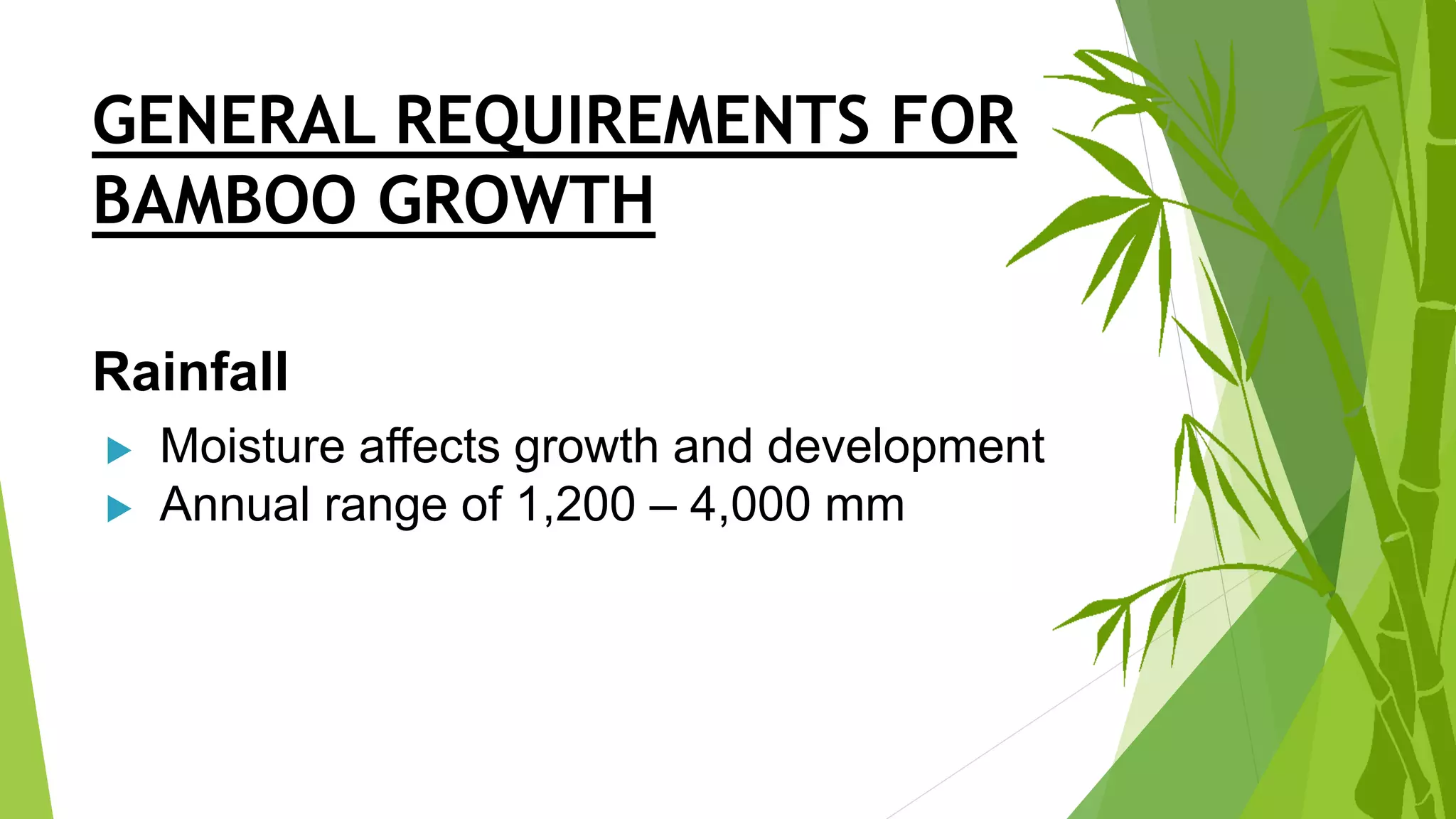 Bamboo plantation establishment and management | PPTX