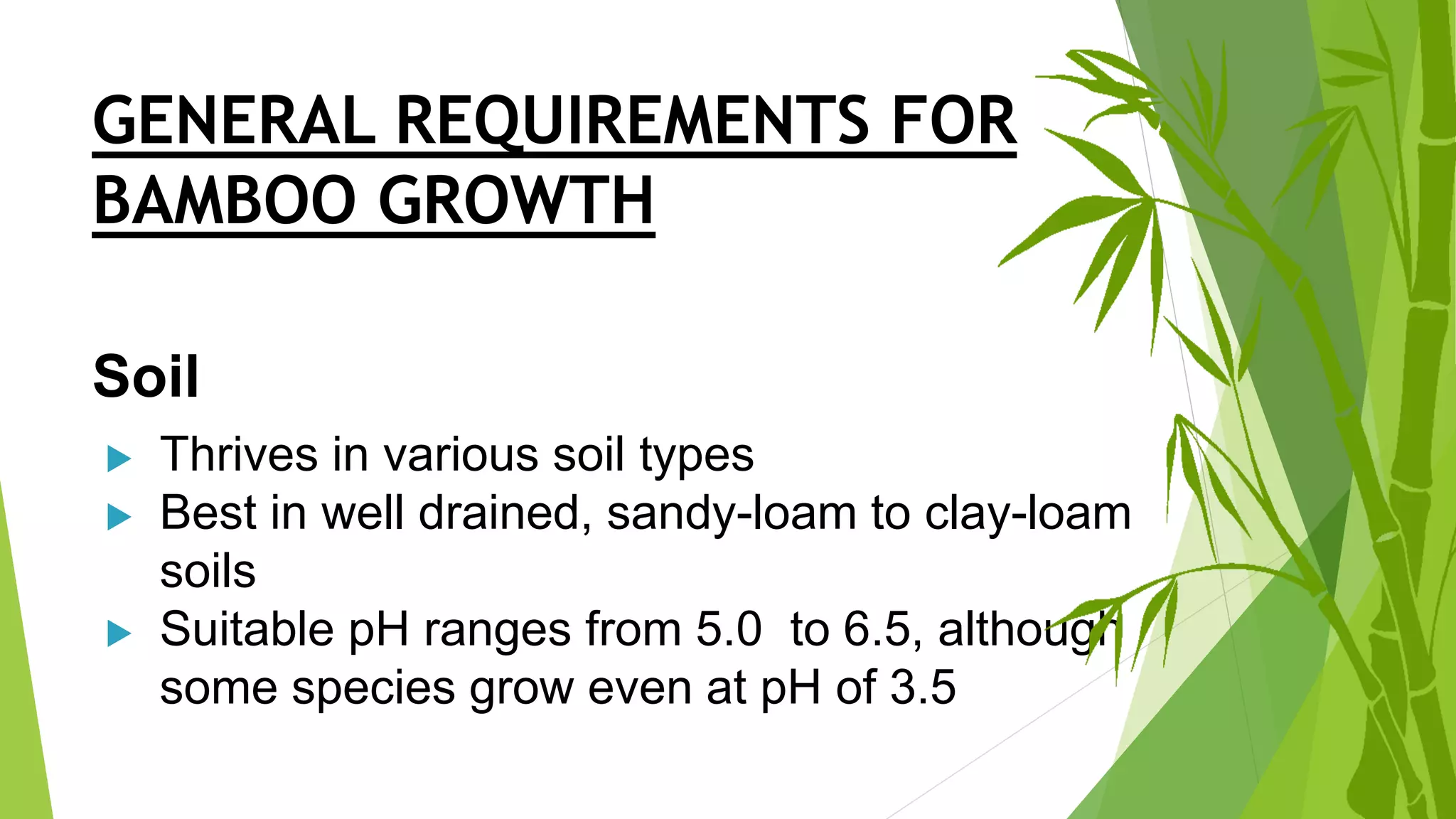 Bamboo plantation establishment and management | PPTX