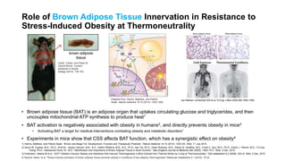 NURS presentation Daniel Svedberg 071316 | PPT