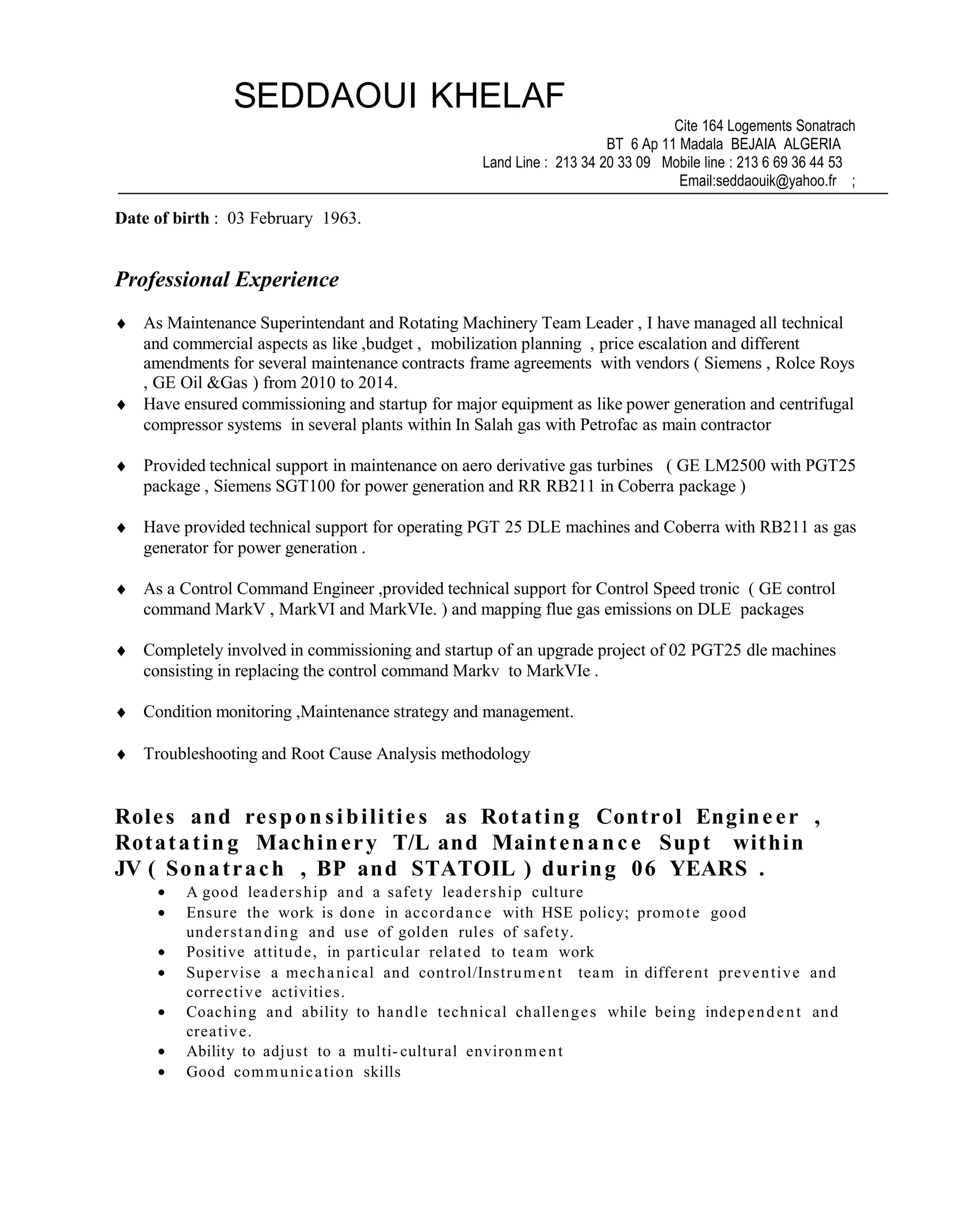 seddaoui cv | DOC | Radio Control | Hobbies & Interests