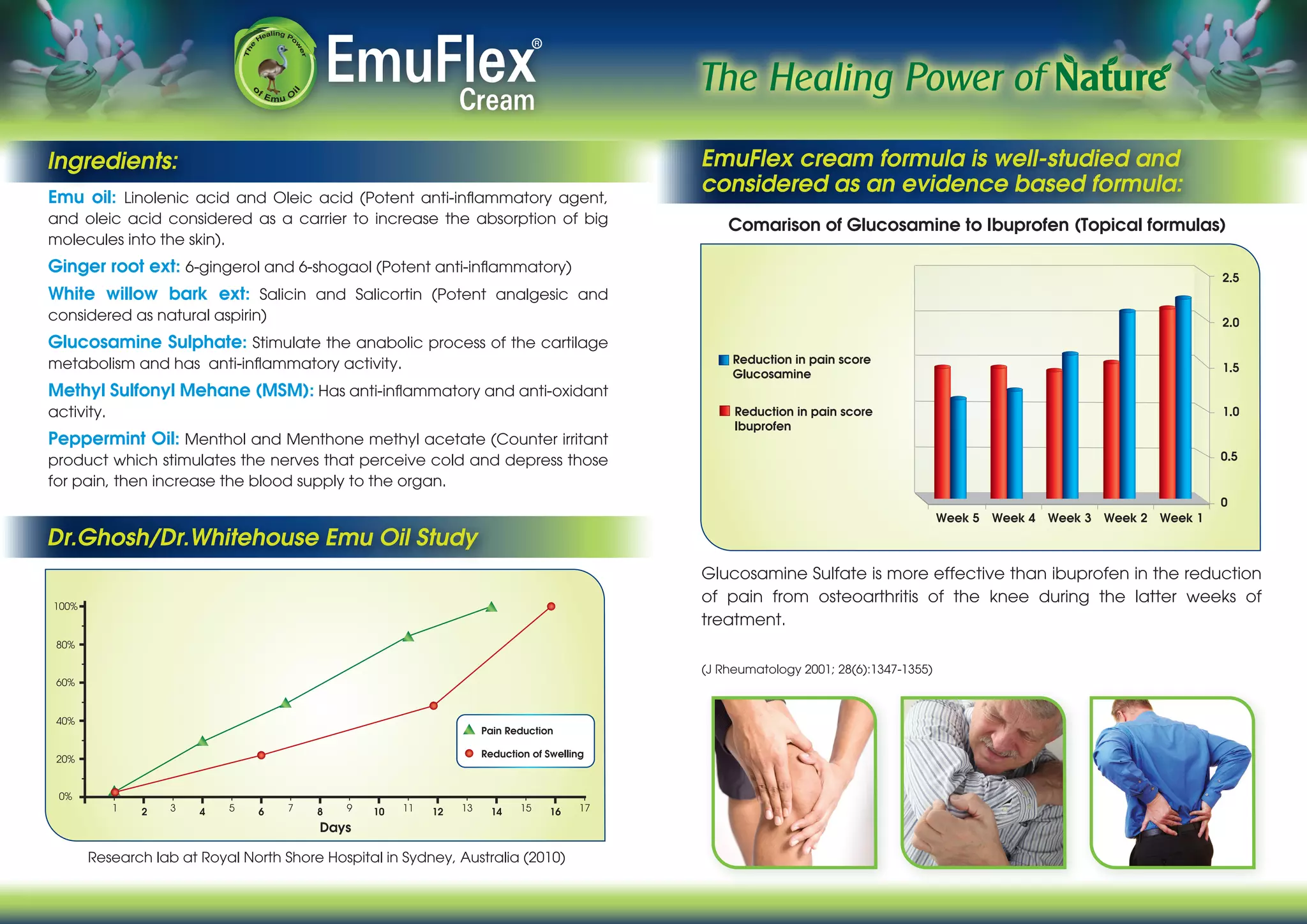 Emu flex cream brochure | PDF