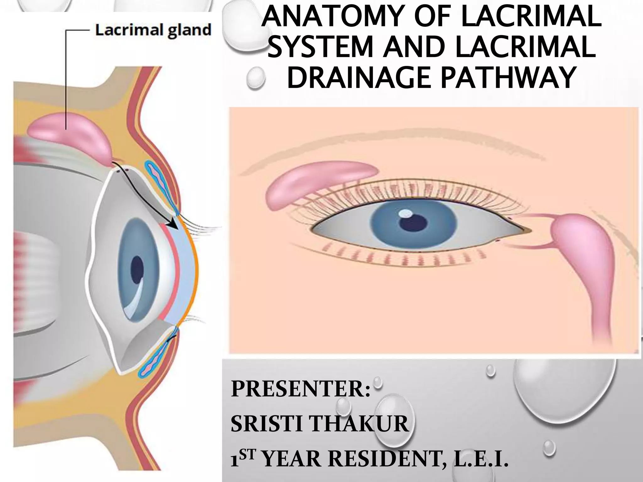 Anatomy and Physiology of Lacrimal system | PPTX