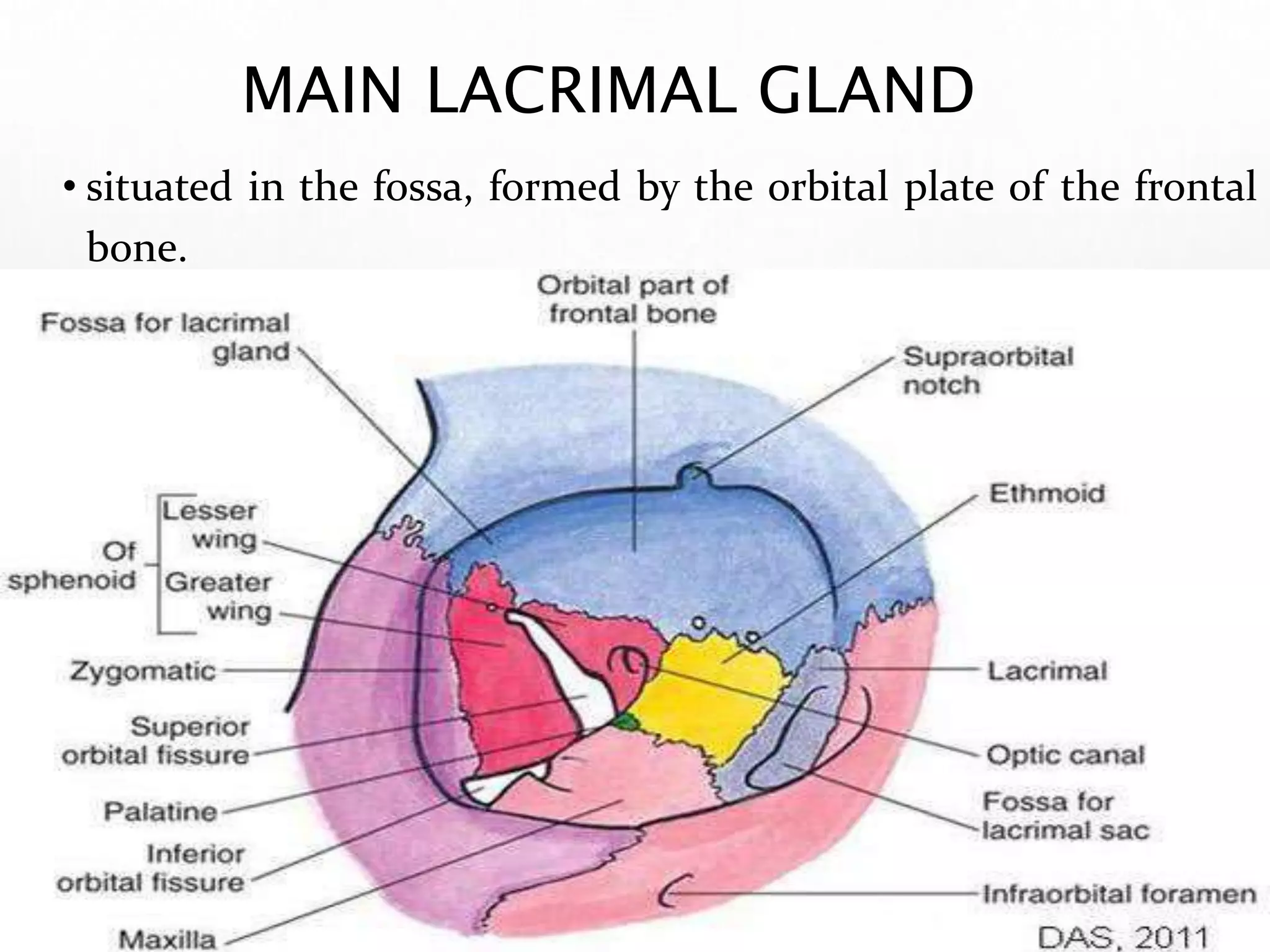Anatomy and Physiology of Lacrimal system | PPTX