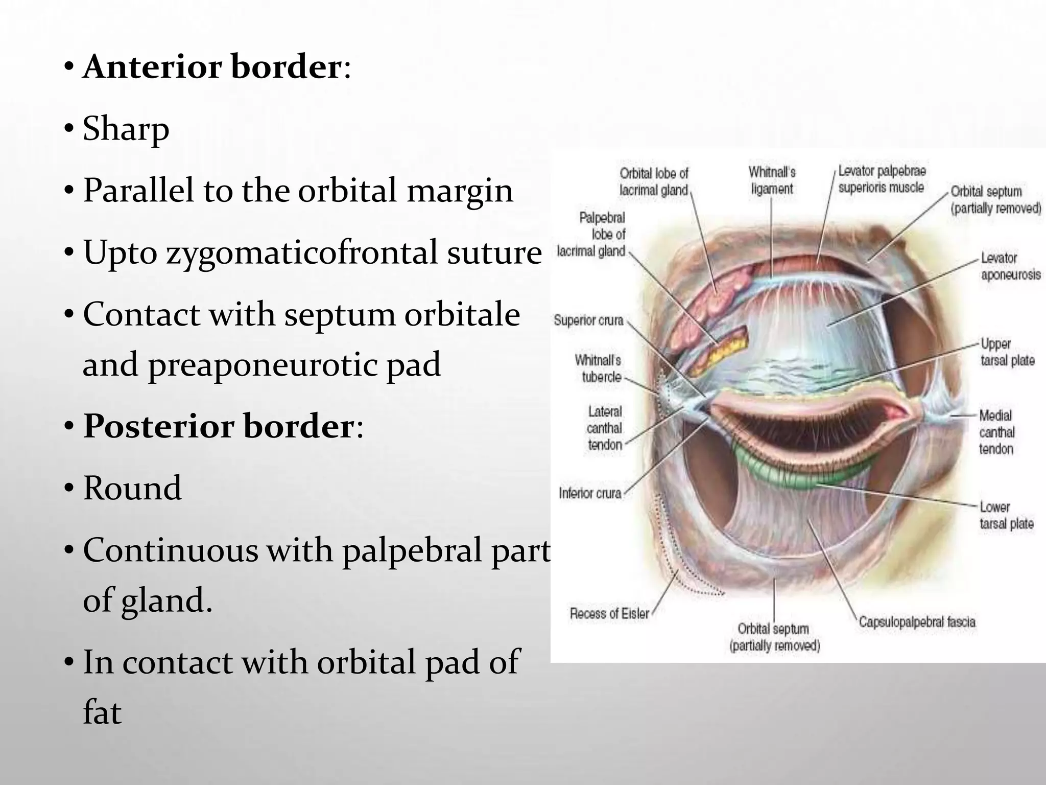 Anatomy and Physiology of Lacrimal system | PPTX