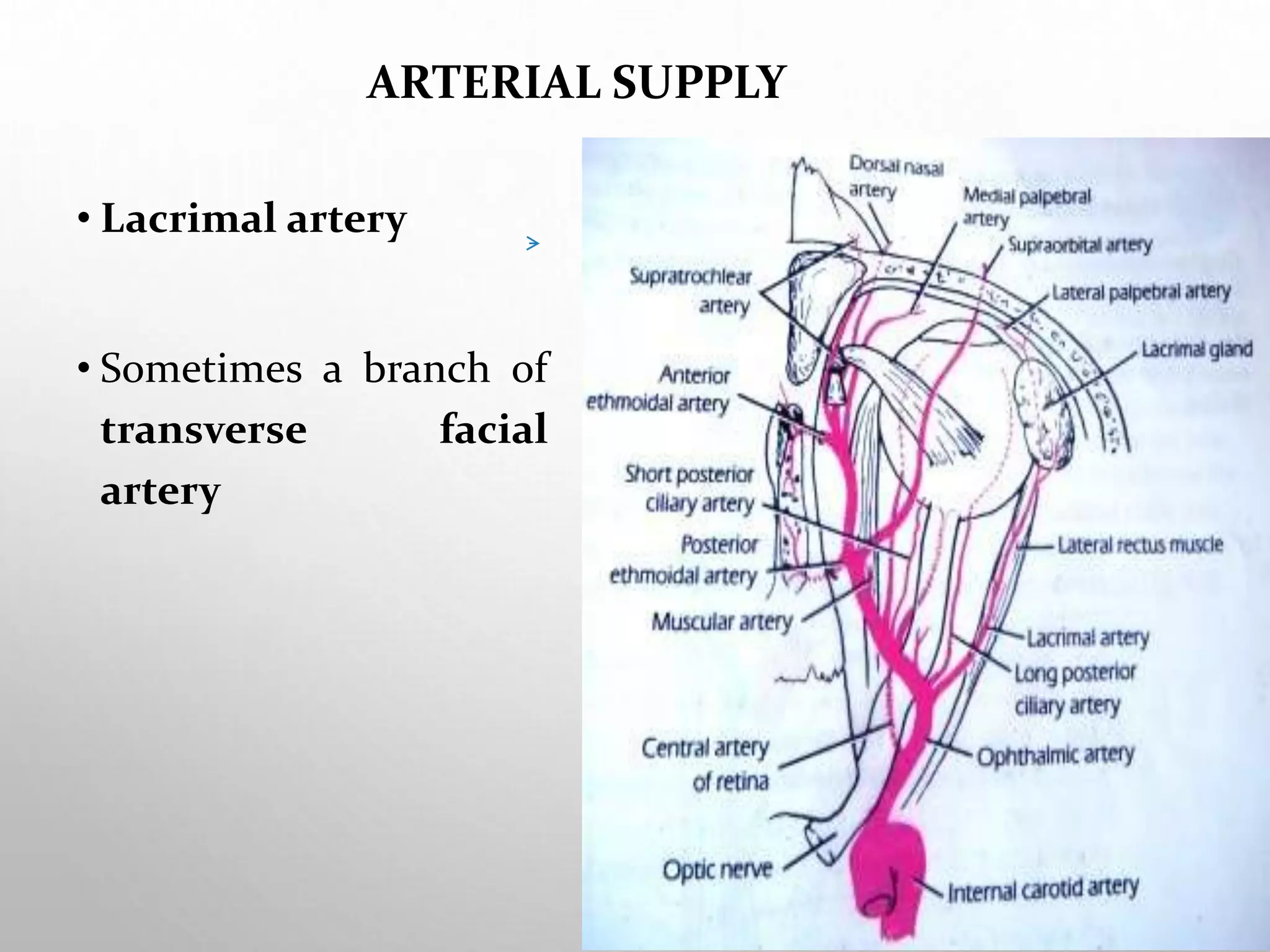 Anatomy and Physiology of Lacrimal system | PPTX