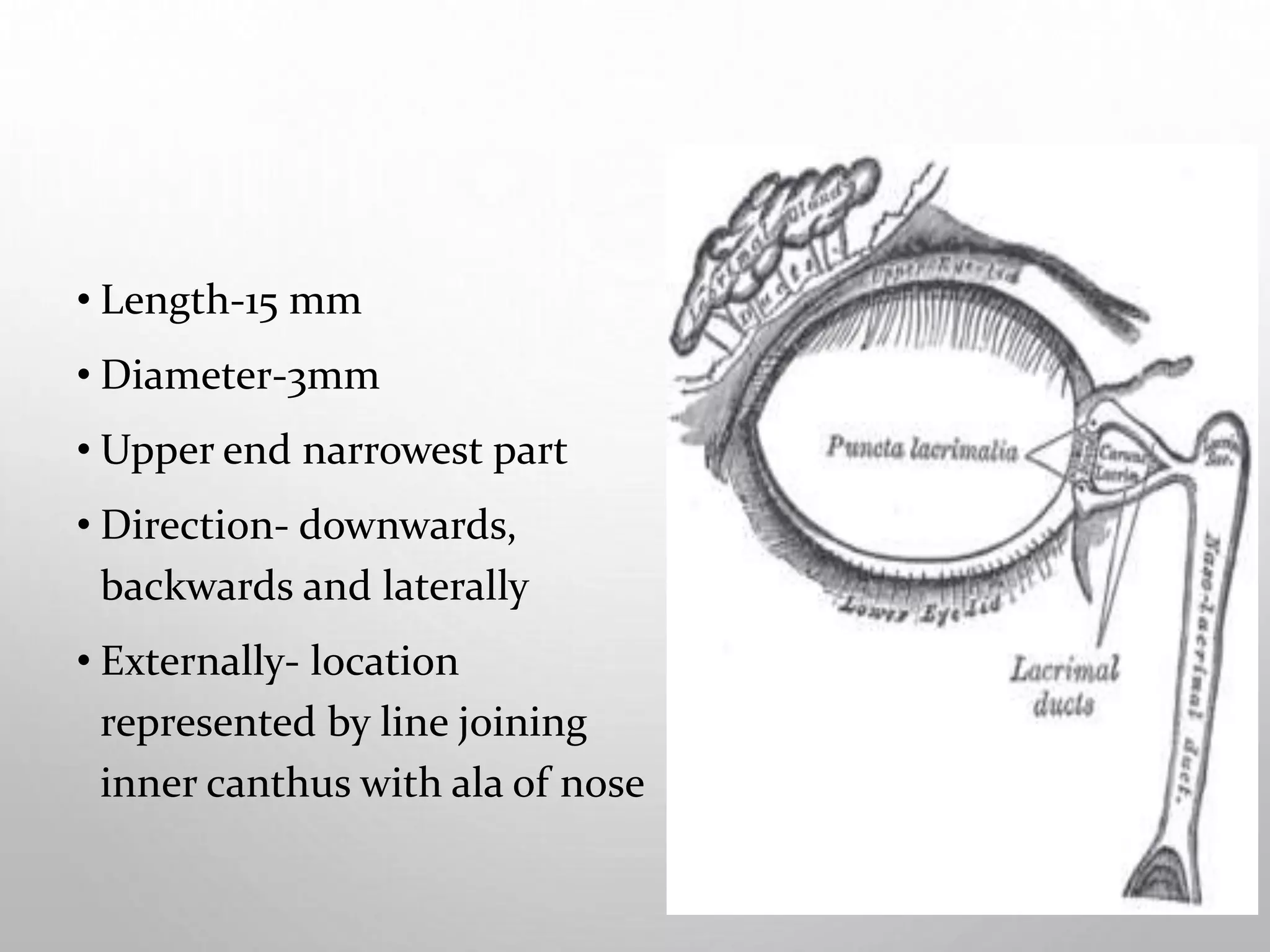 Anatomy and Physiology of Lacrimal system | PPTX