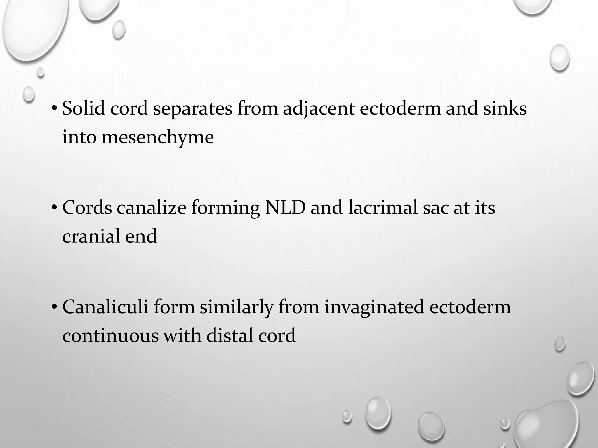 Anatomy and Physiology of Lacrimal system | PPTX