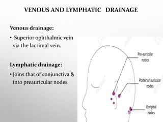 Anatomy and Physiology of Lacrimal system | PPTX
