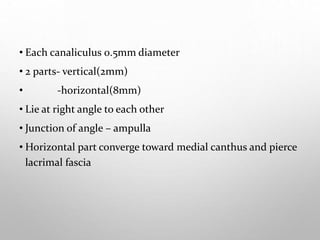 Anatomy and Physiology of Lacrimal system | PPTX