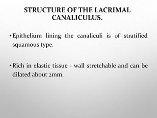 Anatomy and Physiology of Lacrimal system | PPTX