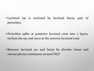 Anatomy and Physiology of Lacrimal system | PPTX