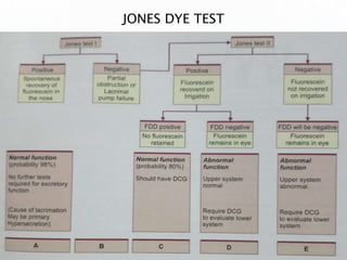 Anatomy and Physiology of Lacrimal system | PPTX