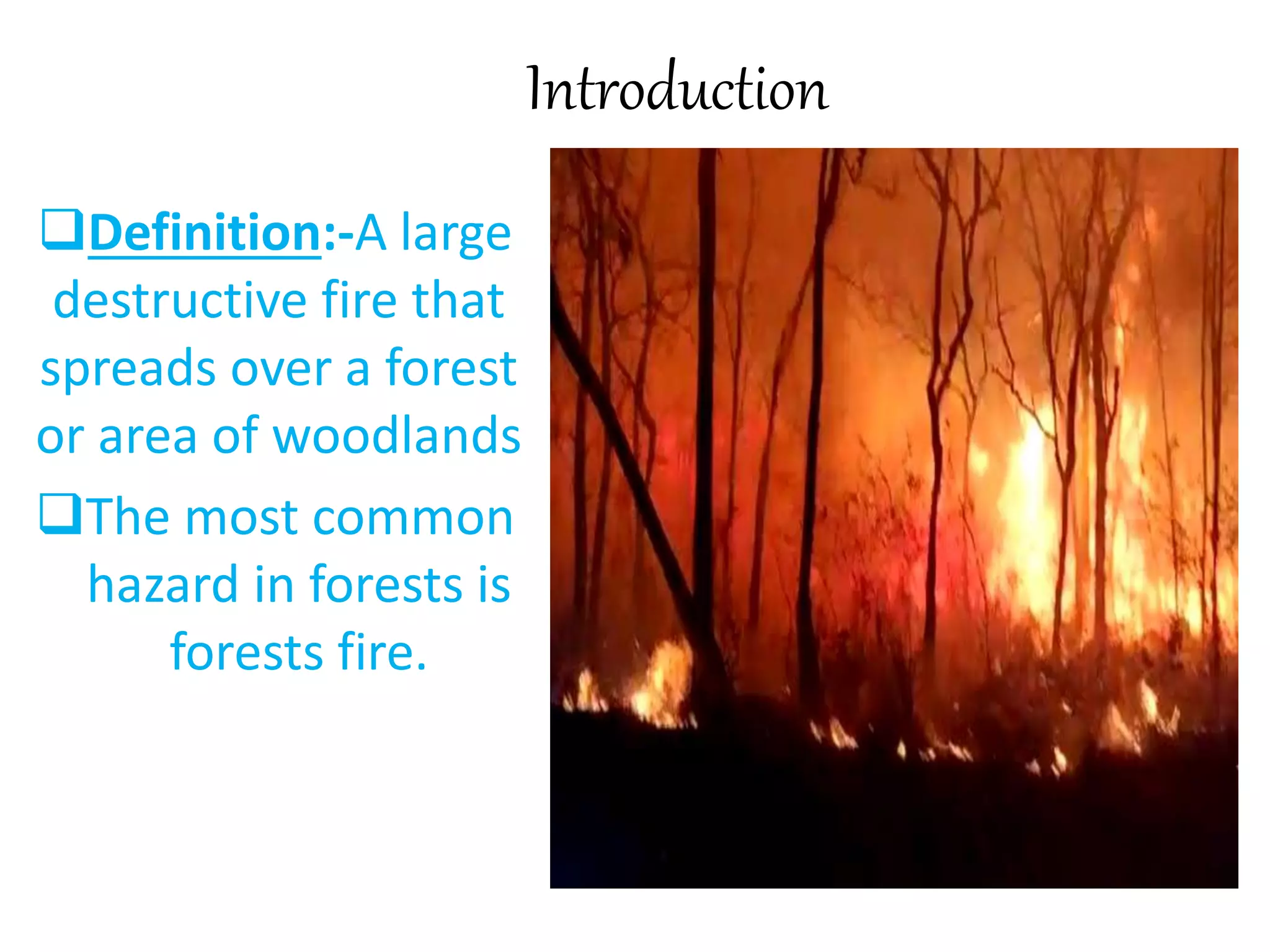 Forest Fires | PPTX
