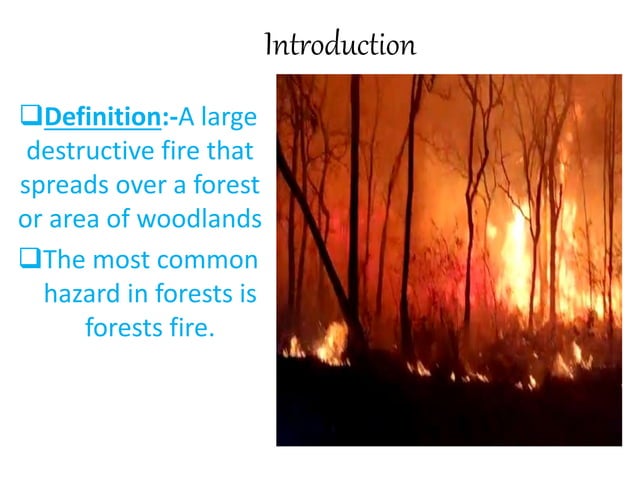 Forest Fires | PPT