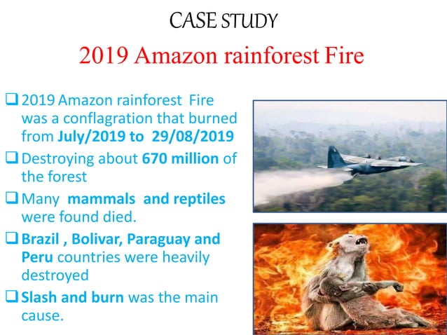 Forest Fires | PPT