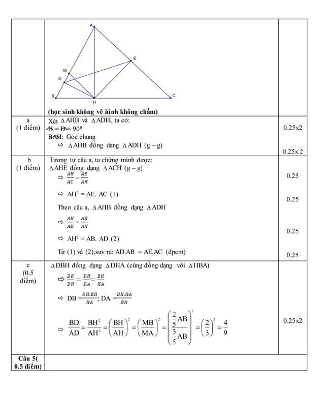 Đề Thi HK2 Toán 8 - THCS - THPT Đống Đa | PDF