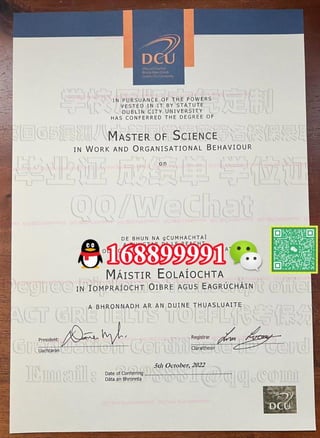 Dublin City University Diploma Degree Transcript | PDF